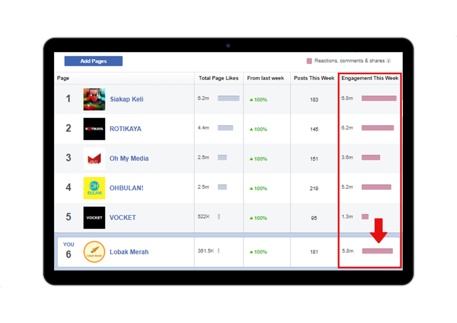 Media Network Services - INFLUASIA