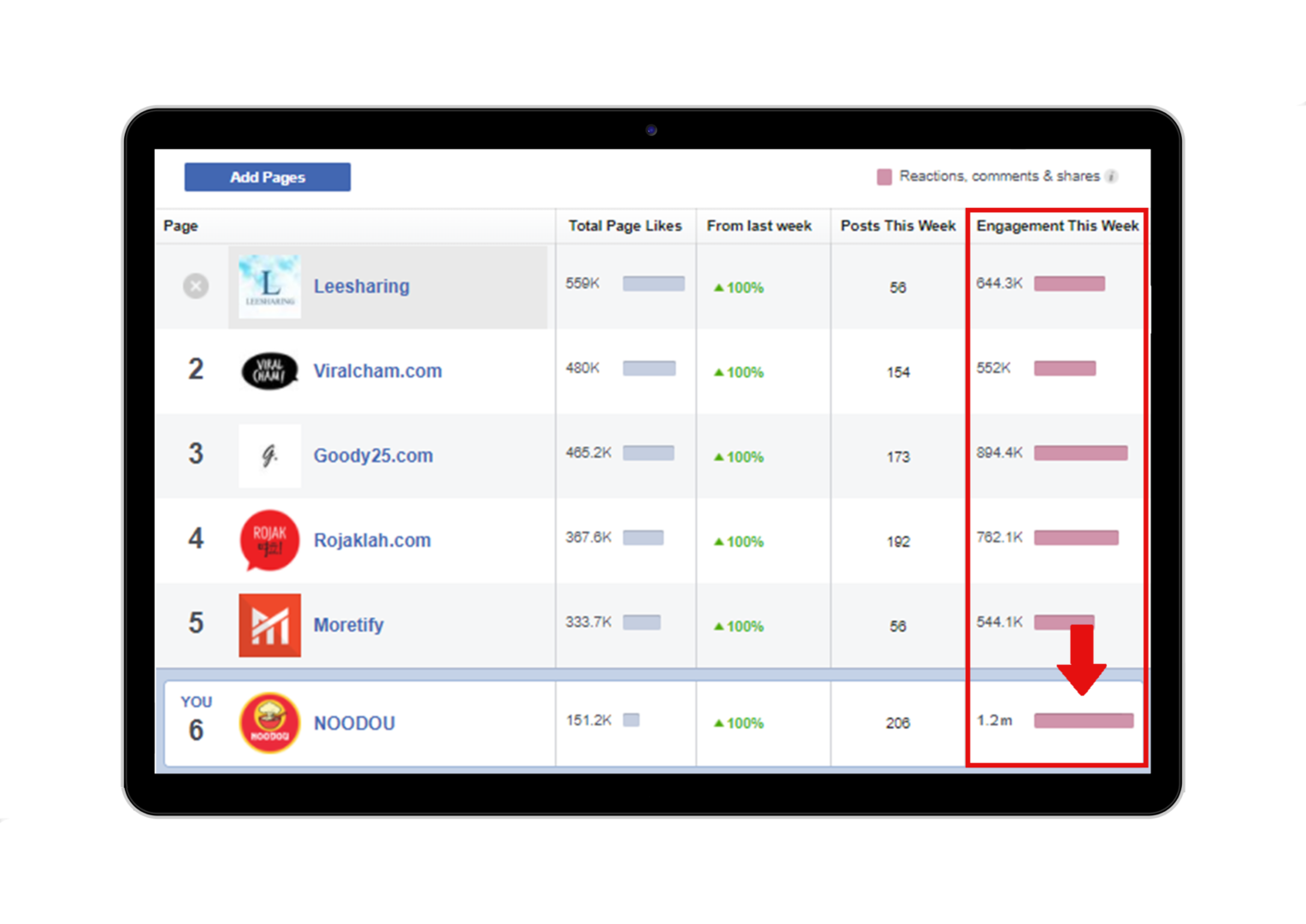 Media Network Services - INFLUASIA